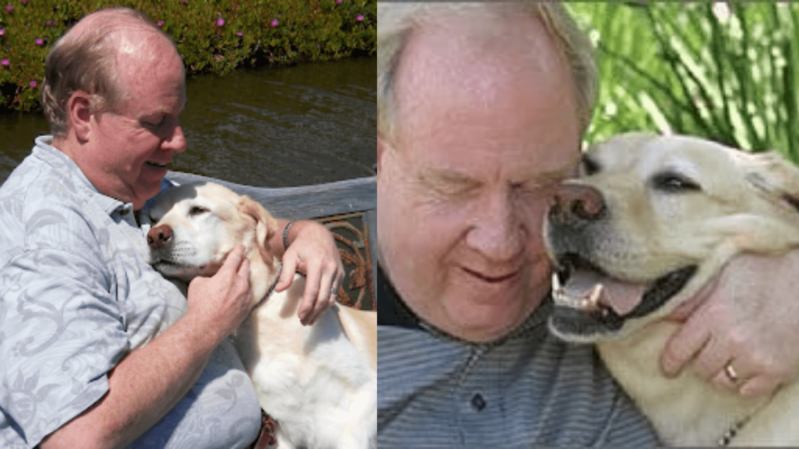 Guide Dog Led Blind Dad And 30 Others Out Of World Trade Center On 9/11 ...